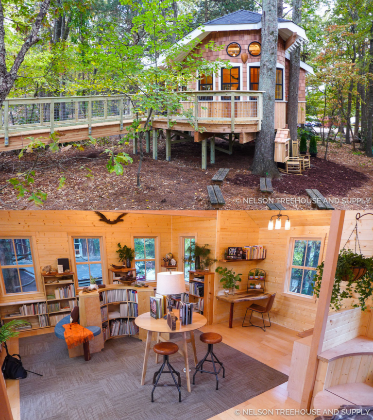 The Library Treehouse Every Backyard Should Have
